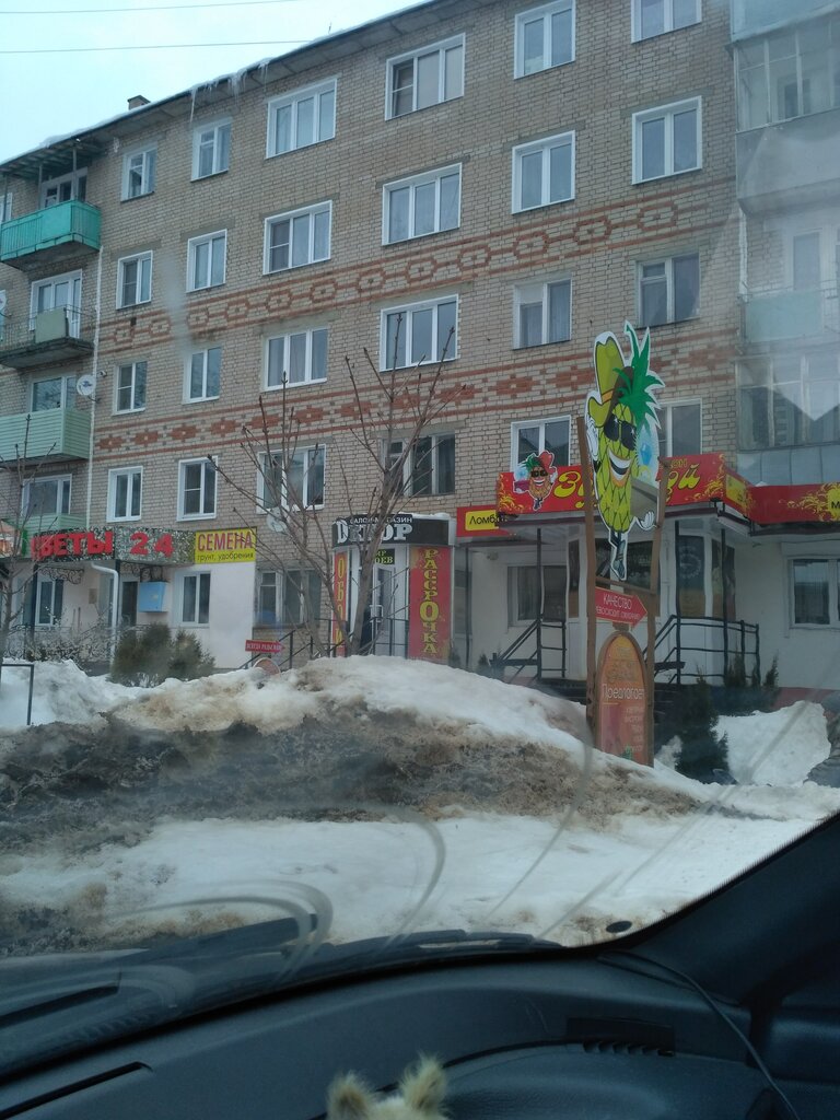Kuyumcular Zolotoy ananas, Viçuga, foto