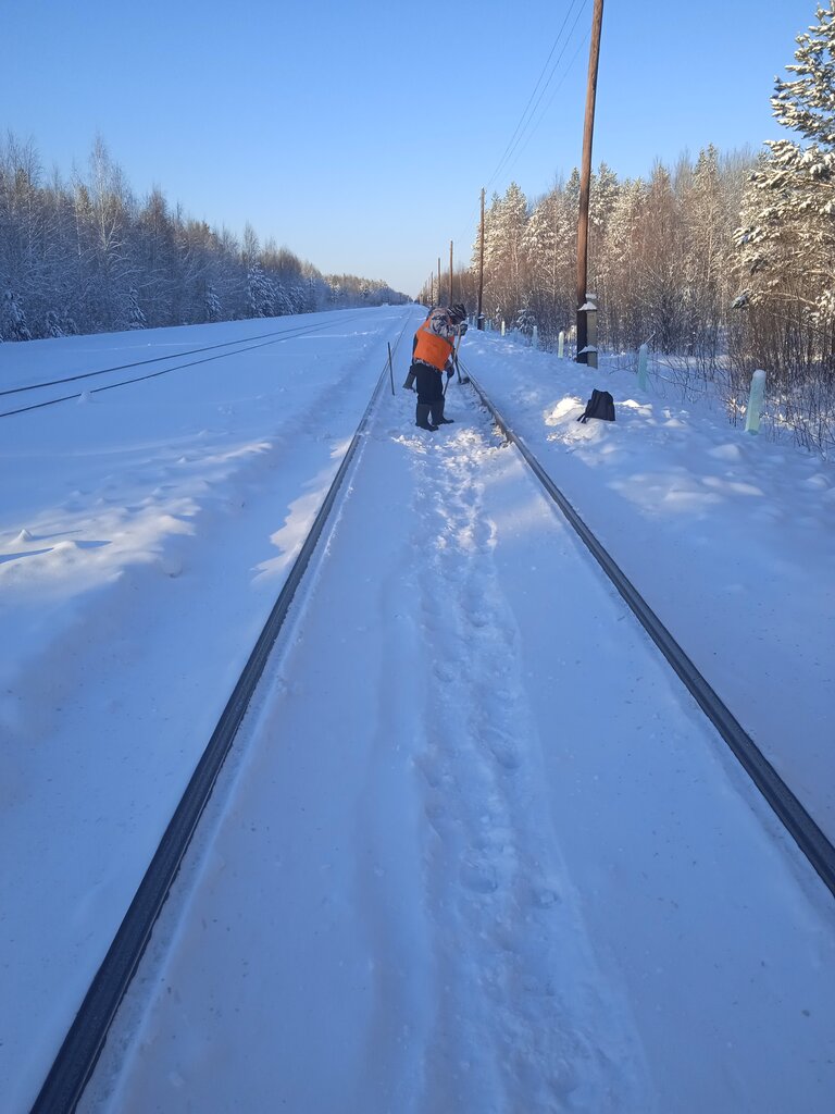 Tren istasyonu станция Сайга, Tomskaya oblastı, foto