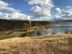 Кесслерский лес (Autonomous Republic of Crimea, Simferopolskiy rayon, Dobrivska silska rada, Kesslerskiy les), orman  Kırım Cumhuriyeti'nden