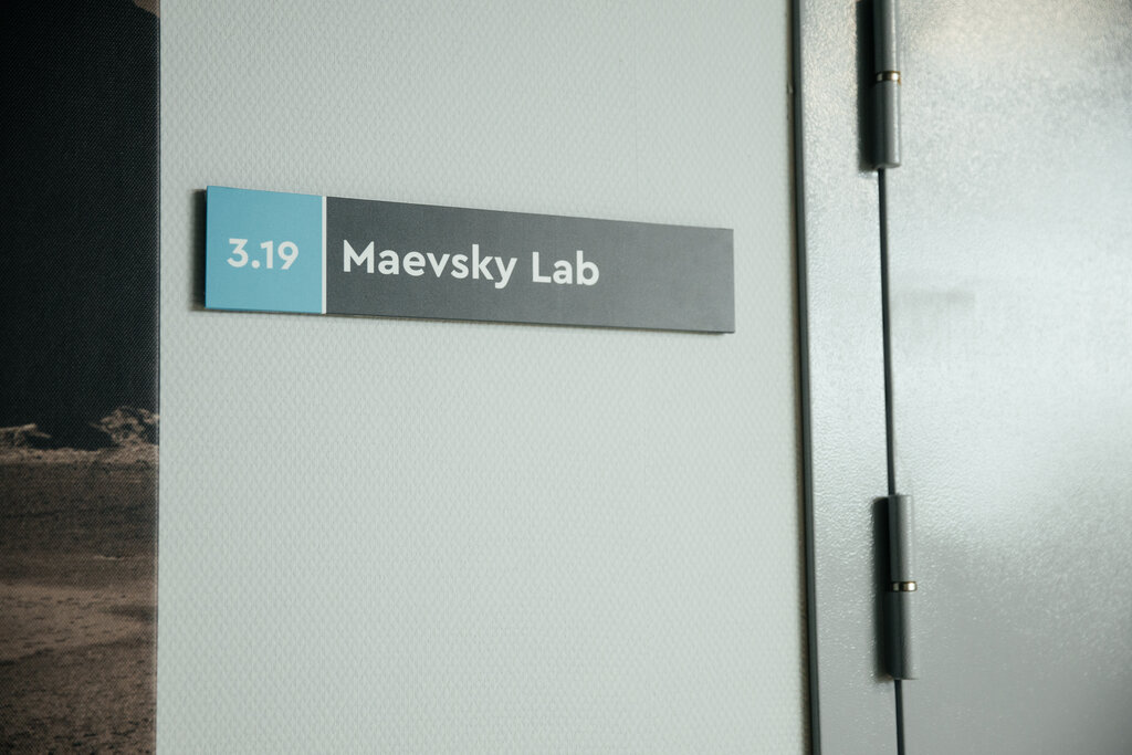 Kişisel gelişim merkezi Maevsky Academy, Moskova, foto