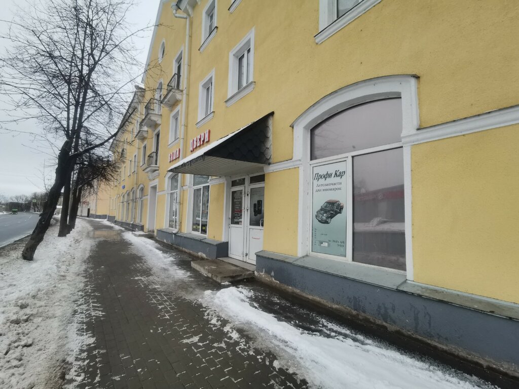 Otomobil yedek parçaları Proficar, Pskov, foto