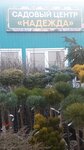 Надежда (No:57, Севастополь), sera ve bahçe ürünleri  Sevastopol'dan