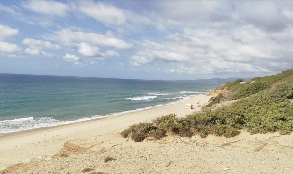 Plaj Spiaggia di Scivu, Dünya, foto
