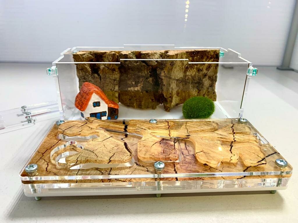 Petshop Lucky Ant, Moskova, foto