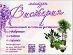 Visteria (Volgogradskaya ulitsa No:105), bahçecilik mağazaları  Ahtubinsk'ten