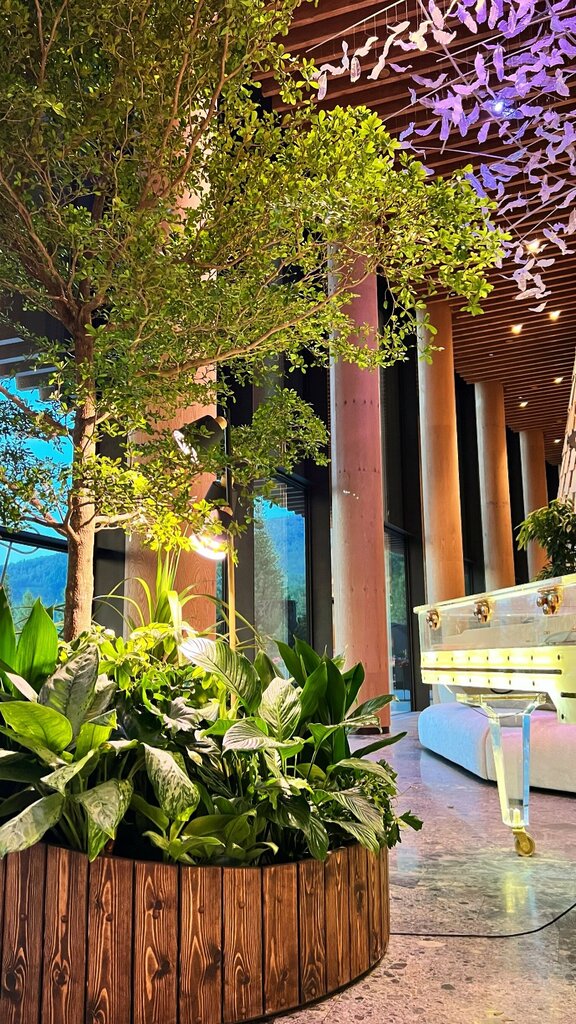 Çevre peyzaj hizmetleri Plant Point, Yekaterinburg, foto