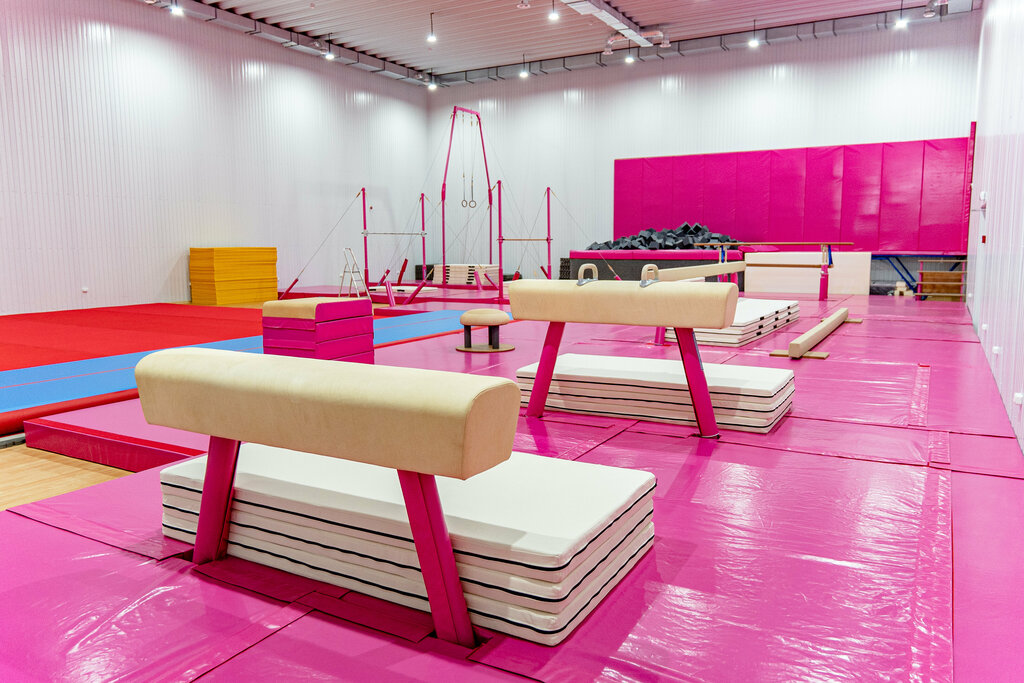 Çok amaçlı spor tesisleri Академия гимнастики Голоцуцкова Антона Agga, Moskova, foto