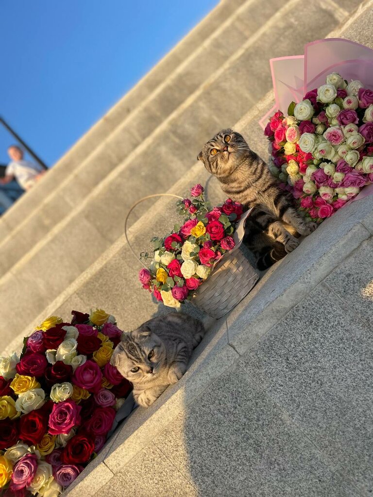 Çiçek teslimatı Fresh Petals, Anapa, foto