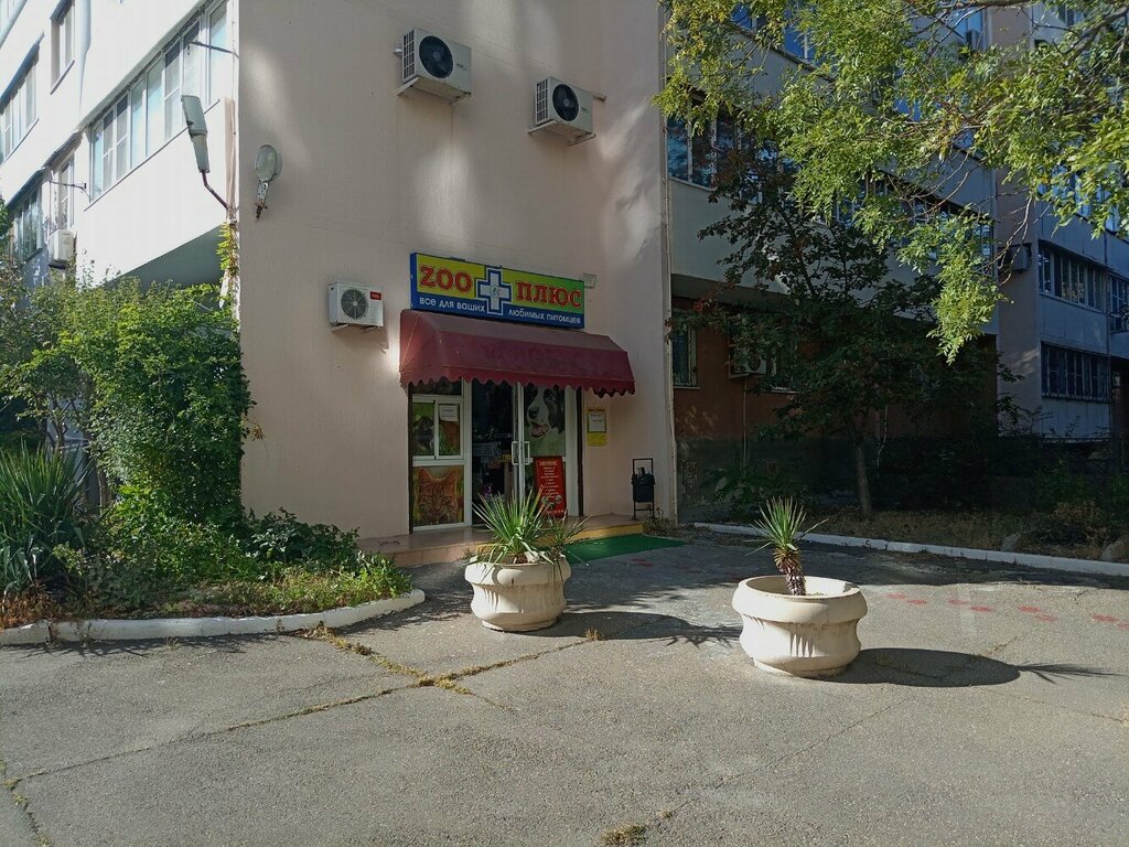 Petshop Zoo плюс, Novorossiysk, foto