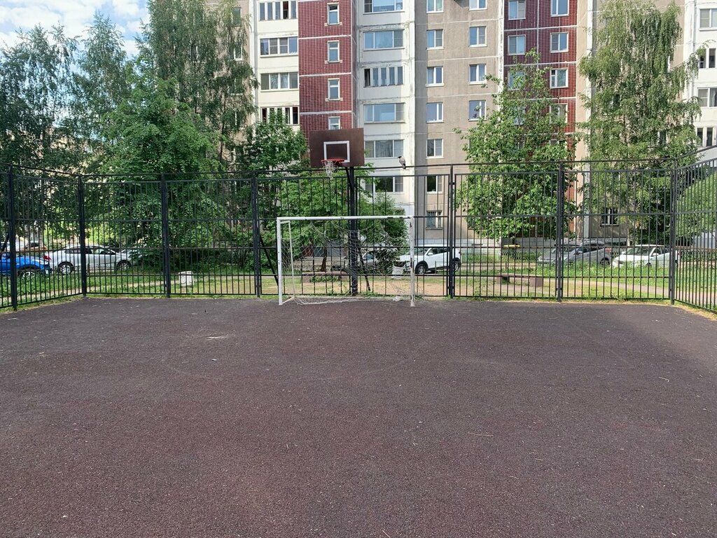 Spor alanı Футбольное поле, Vsevolgsk, foto