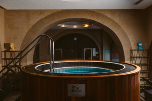 Palace Bridge Wellness Club (Birzhevoy Lane No:4), fitness kulüpleri  Saint‑Petersburg'dan