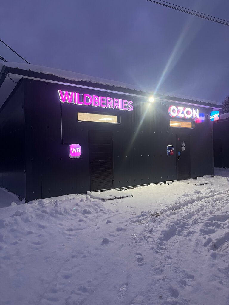 Teslimat noktası Wildberries, Moskova ve Moskovskaya oblastı, foto