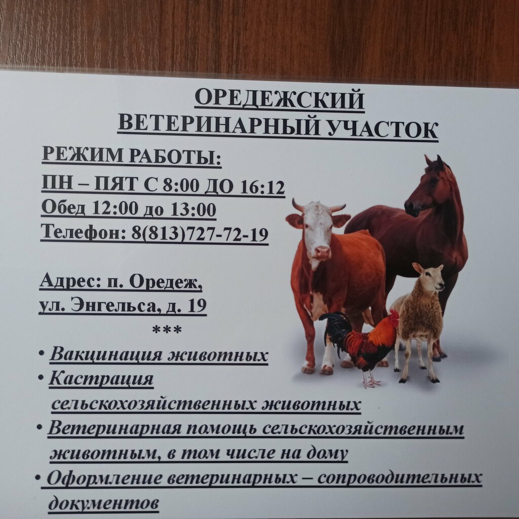 Veteriner klinikleri Ветеринарный участок, Saint‑Petersburg ve Leningradskaya oblastı, foto