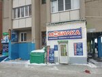 Mobilka (Bakunina Street No:36), elektronik eşya mağazaları  Penza'dan