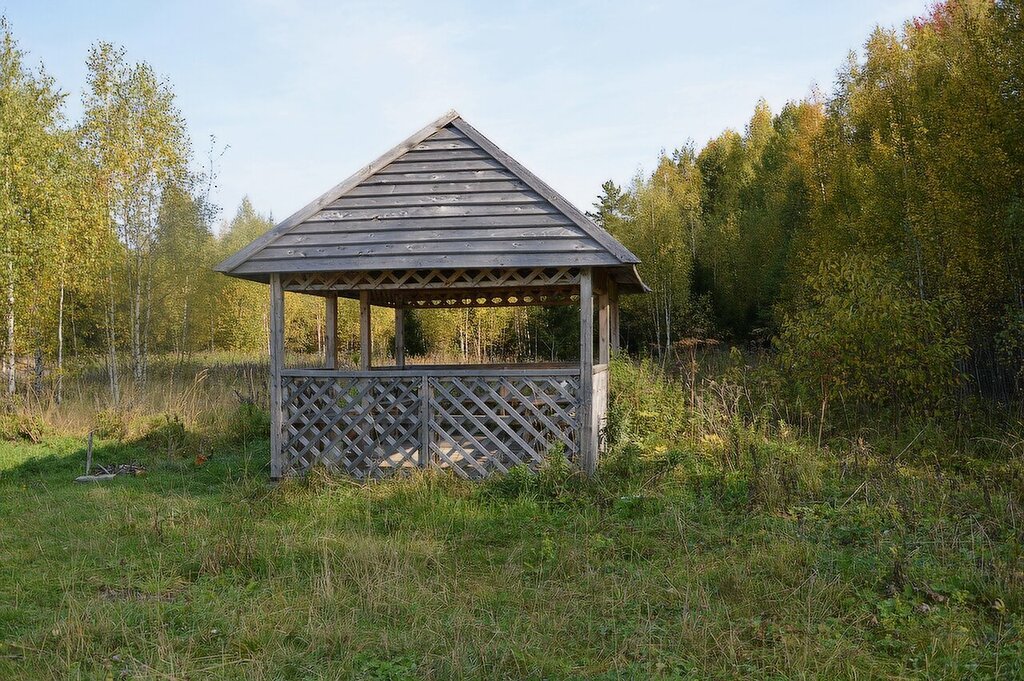 Piknik alanı Место для пикника, Kirovskaya oblastı, foto