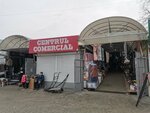 Clothing market (strada Alexandru cel Bun No:9), giyim pazarı  Kişinev'den