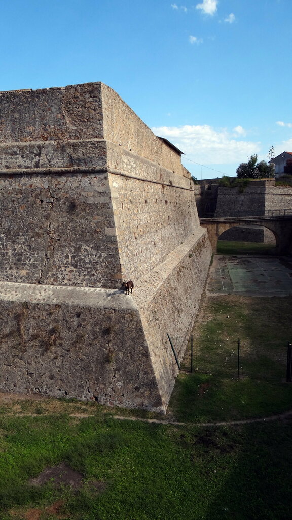 Turistik yerler Citadelle d'Ajaccio, Ajaccio, foto