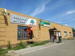 Qiwi (Baısheshek kóshesі No:44), ödeme terminali  Semey'den