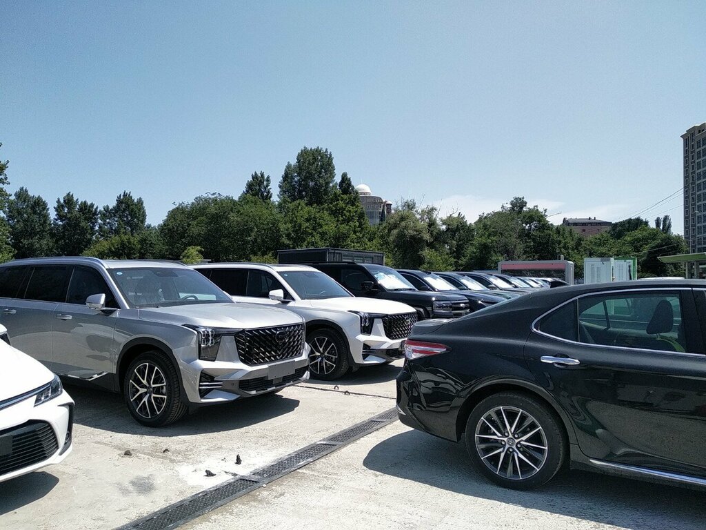 Otomobil satış galerileri Автодом Махачев, Makhachkala, foto
