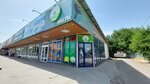 Fresh flowers (Baizak Batyr Street No:248А), çiçekçiler  Taraz'dan