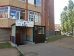 Zerek Bala (No:22, Lesnaıa Polána shaǵyn aýdany, Qosshy), çocuk gelişim merkezleri  Akmola eyaletinden