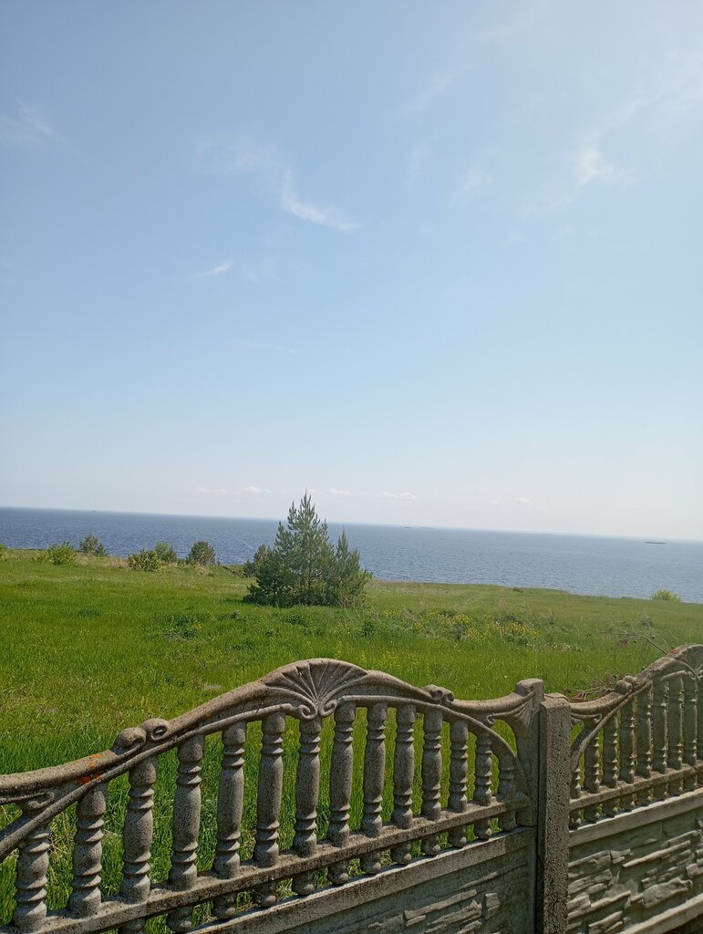 Arazi dizisi Belyye Gory, Laişevo (Layış), foto