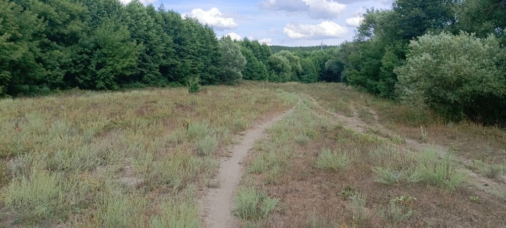 Motosiklet pisti Мотодром, Kuznetsk, foto