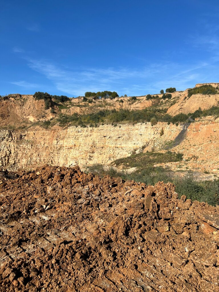 Endüstriyel mineraller Парсуковский Карьер, Kalujskaya oblastı, foto