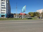 Qiwi (Constitution Street of Kazakhstan No:55/Б), ödeme terminali  Petropavl'dan (Petropavlovsk'tan)