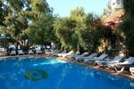 Okaliptus Hotel (Muğla, Bodrum, Bitez Mah., Pomelan Cad., 12), otel  Bodrum'dan