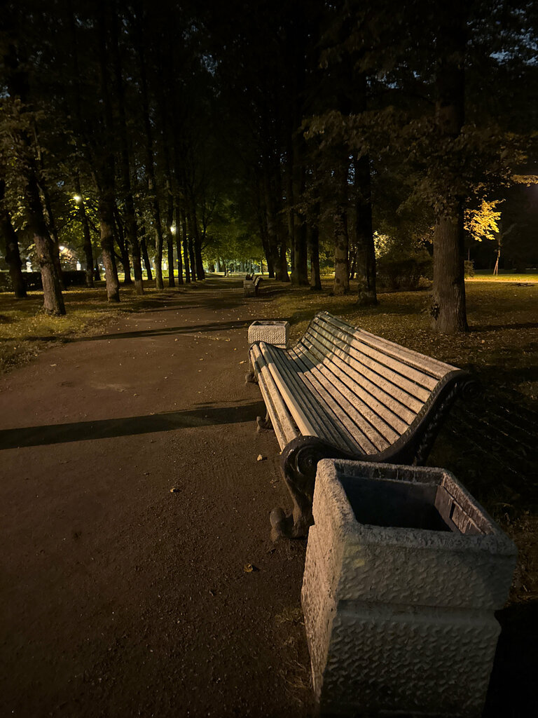 Bank Bench, Saint‑Petersburg, foto