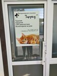 Гарфилд (Proletarskaya ulitsa No:30), veteriner klinikleri  Mihaylov'dan