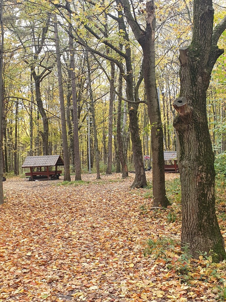 Çardak Gazebo, Moskova, foto