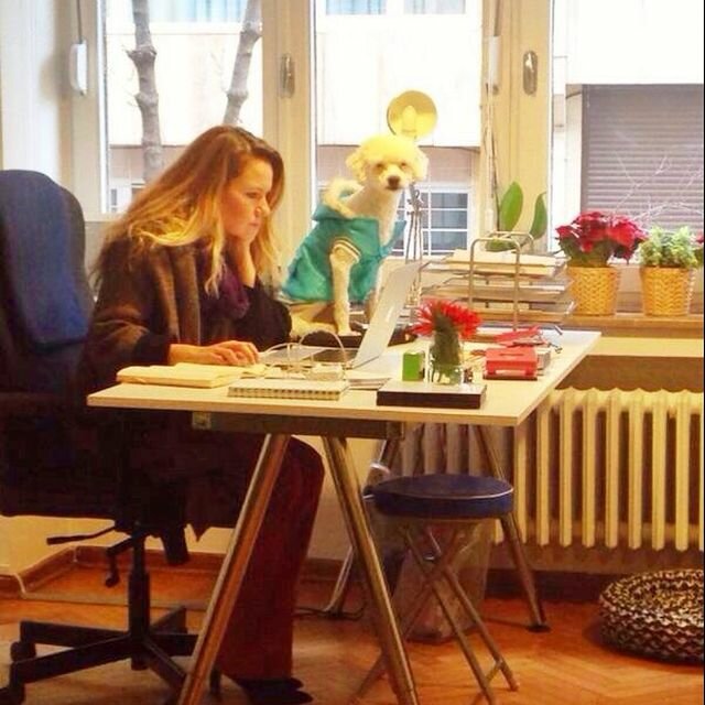 Reklam ajansları Smart 360, İstanbul, foto