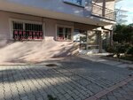DefnePet (Hacıyolu Sok., No:44A, Çankaya, Ankara), hayvanat bahçesi merkezi  Ankara'dan