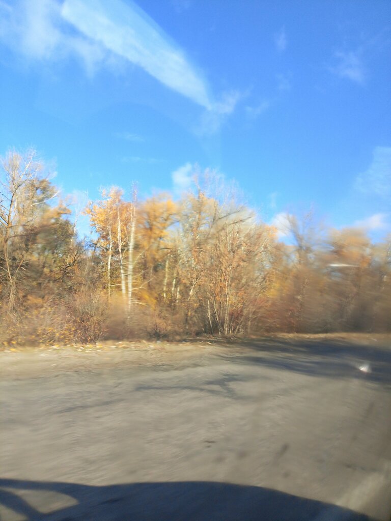 Orman Смешанный лес, Voronejskaya oblastı, foto