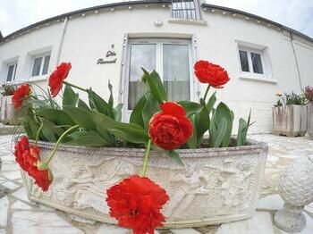 Otel Gites Pres des Montgolfieres, , foto