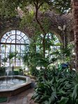 Winter Garden (ploshcha Lienina No:4к5), müzeler ve sanat galerileri  Gomel'den