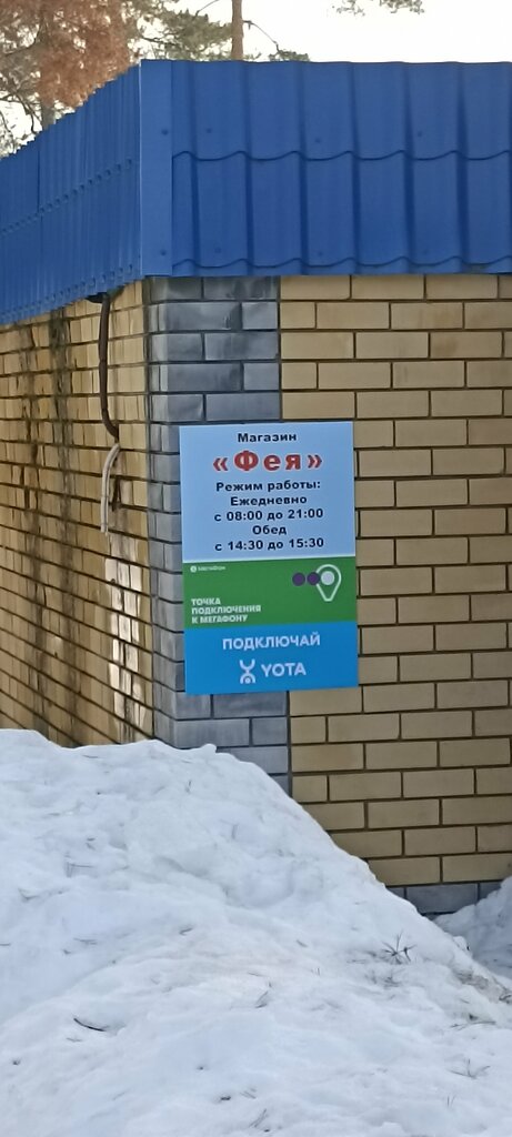 Market Фея, Nijegorodskaya oblastı, foto