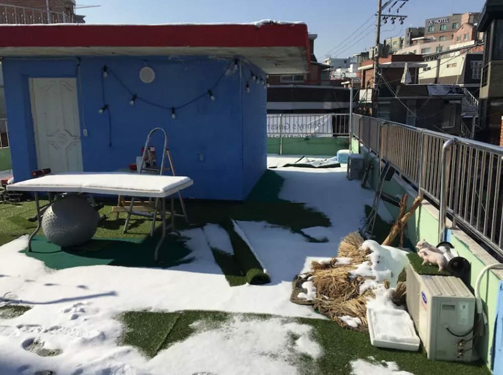 Otel JOHNNY's House, Seul, foto