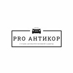 Pro Anticor (Verkhosunskaya ulitsa No:6А, Kirov), kaplama hizmetleri  Kirov'dan
