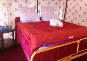 Tih Norling Camp - Tsomoriri (Jammu and Kashmir, Karzok), otel  Cemmu ve Keşmir'den