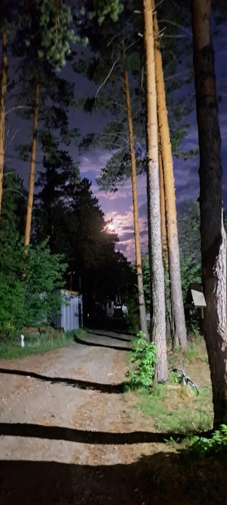 Bahçecilik dernekleri ve kuruluşları Коллективный сад 1, Pervouralsk, foto