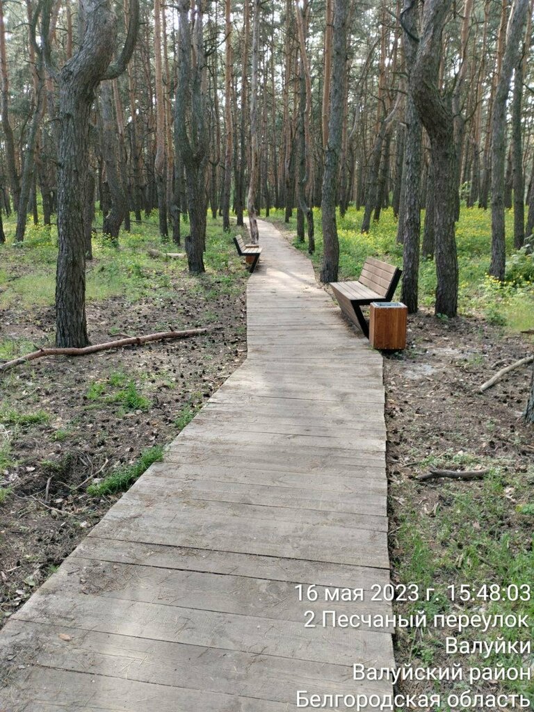 Doğa koruma alanı ООПТ регионального значения природный парк Подмонастырская сосна, Valuyki, foto