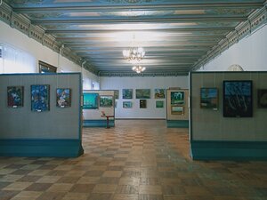Volsky Museum of Local Lore, art gallery (Oktyabrskaya ulitsa No:110), müzeler ve sanat galerileri  Volsk'tan