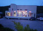 Orkhideya (Chernomorskaya ulitsa No:27Б, selo Olginka), kafe  Krasnodarski krayından
