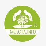 Mulcha. info (ulitsa Bereg reki Don No:26/2), peyzaj tasarımı  Voronej'den
