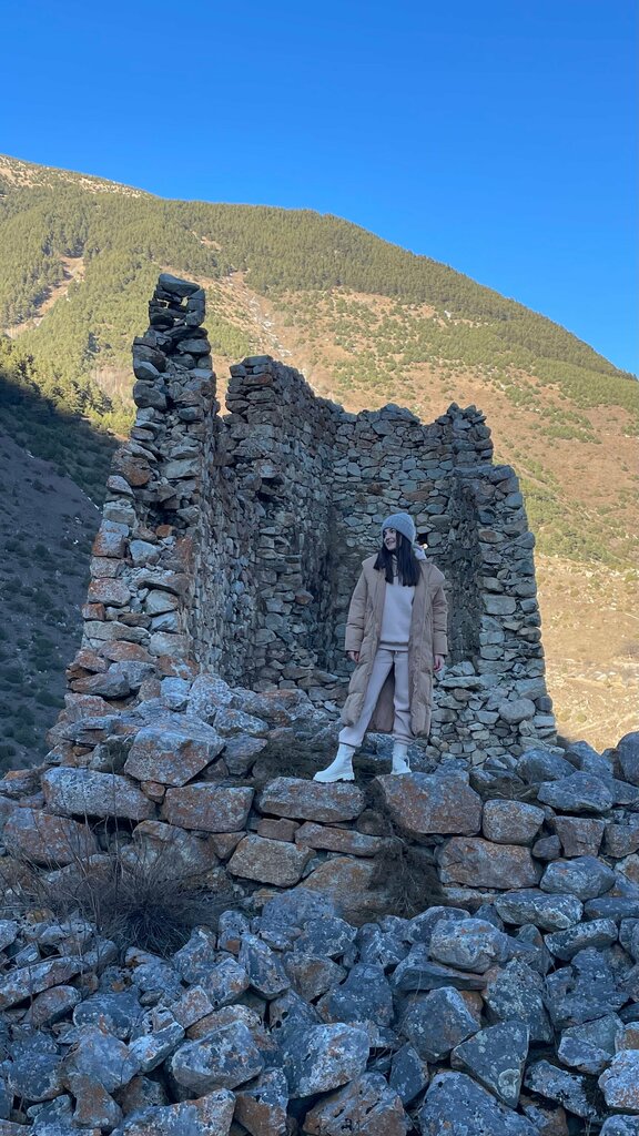 Turistik yerler Башни Телакуровых, Саракаевых, Тегаевых, Kuzey Osetya‑Alanya, foto