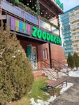 Zebro (Kazybek Bi Street No:139/2), petshop  Almatı'dan