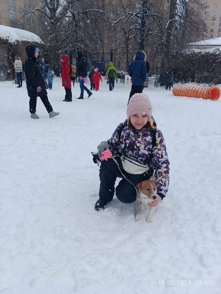 Köpek gezdirme alanları Dog park, Moskova, foto